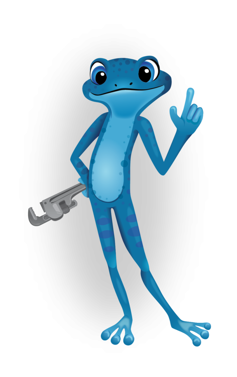 Home & Business Expert Plumbers | Bluefrog Plumbing + Drain